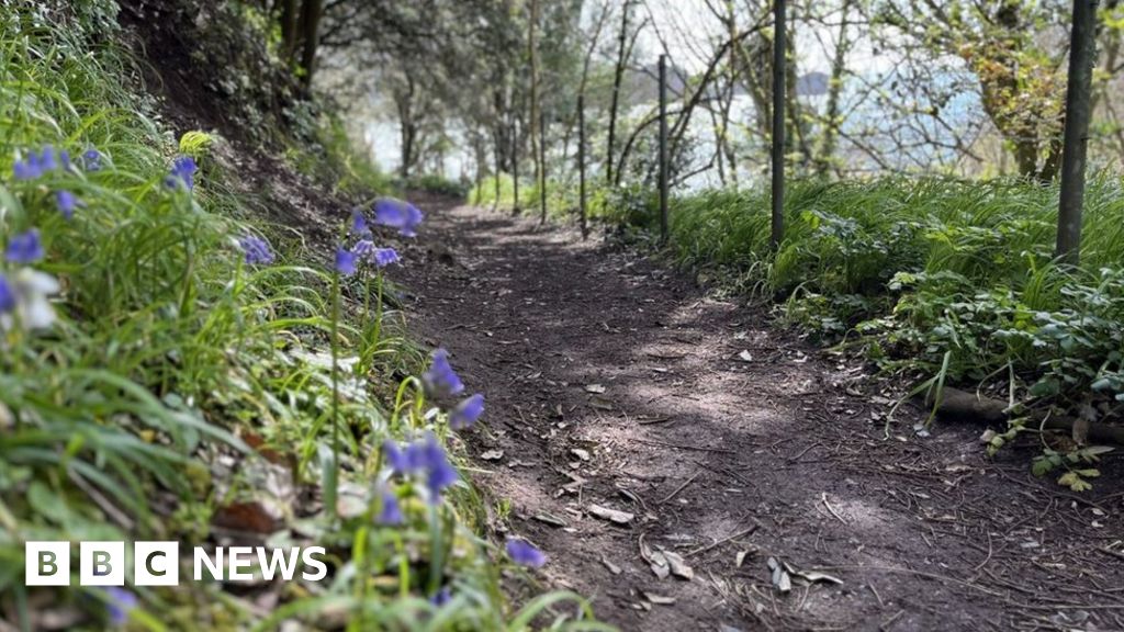 Work to cut back overgrowth on Guernsey cliff paths begins - BBC News