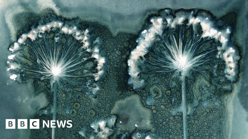 Winners of the 2019 International Garden Photographer of the Year ...