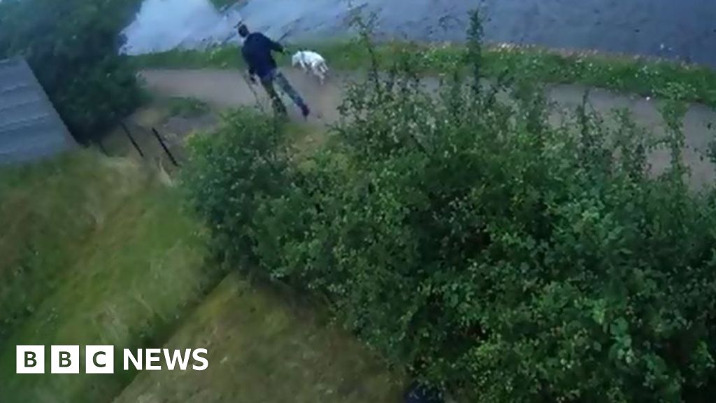 Bilston man captured on CCTV beating dog - BBC News