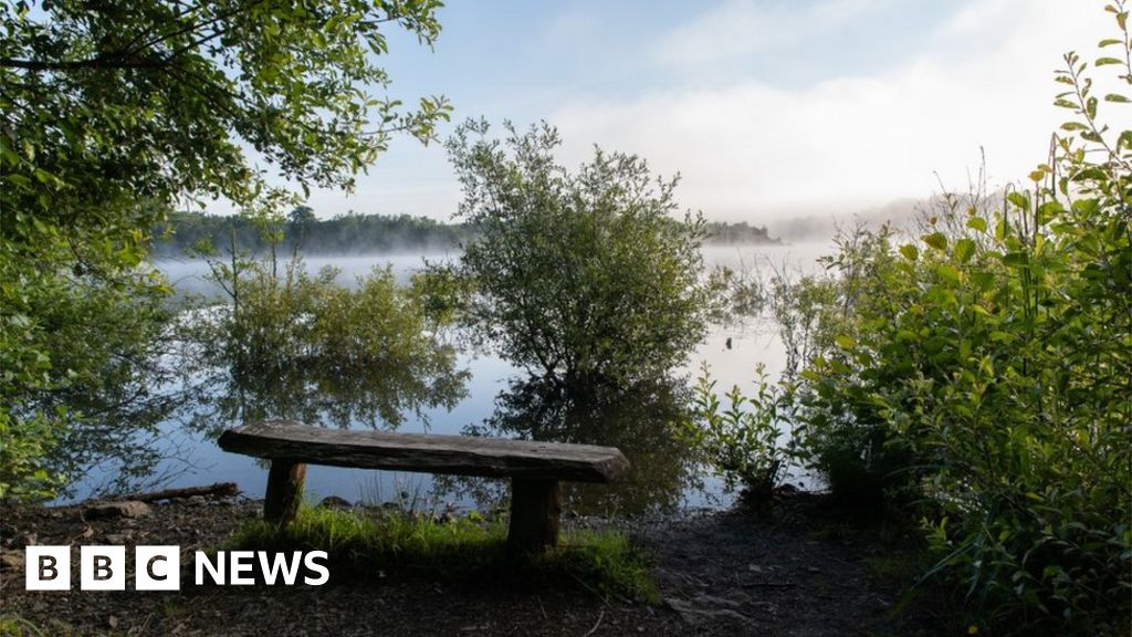 Vehicles stolen in Devon Wildlife Trust's Meeth Quarry break-in - BBC News