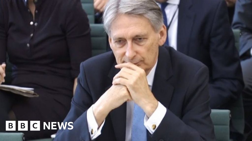 Hammond's comments highlight Brexit divisions