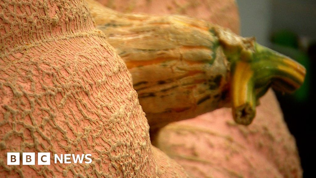 New Forest brothers show off UK's biggest ever pumpkin - BBC News