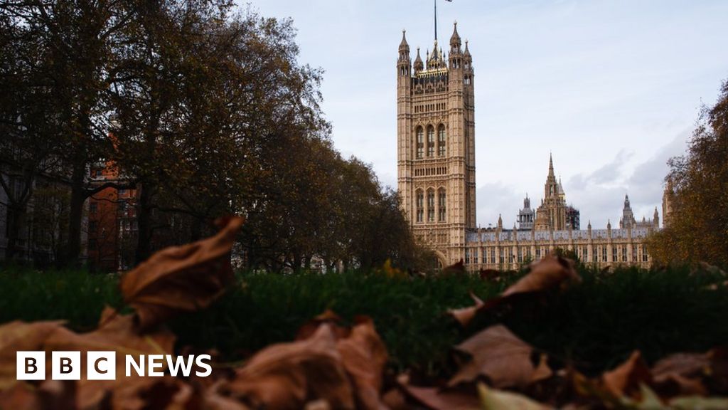 The week ahead in Parliament - BBC News
