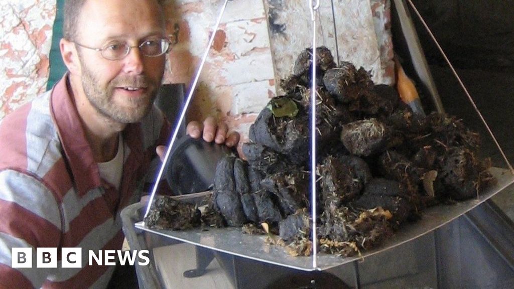 National Poo Museum opens doors on Isle of Wight - BBC News