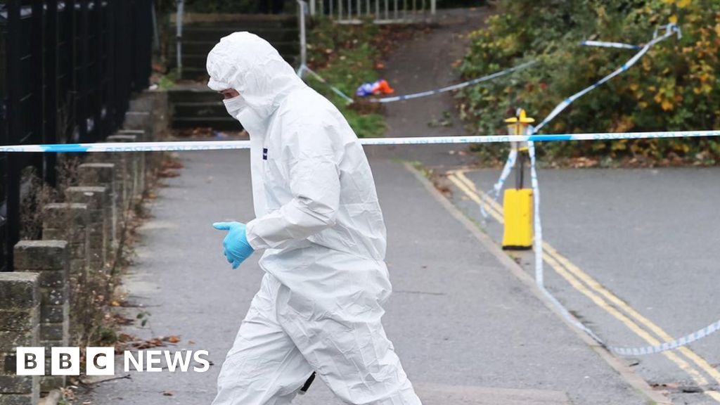 Crawley stabbing: Girl, 14, arrested on suspicion of murder