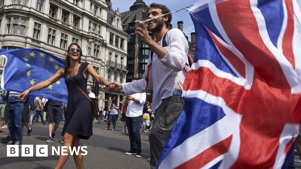 What kind of Brexit do voters want? - BBC News