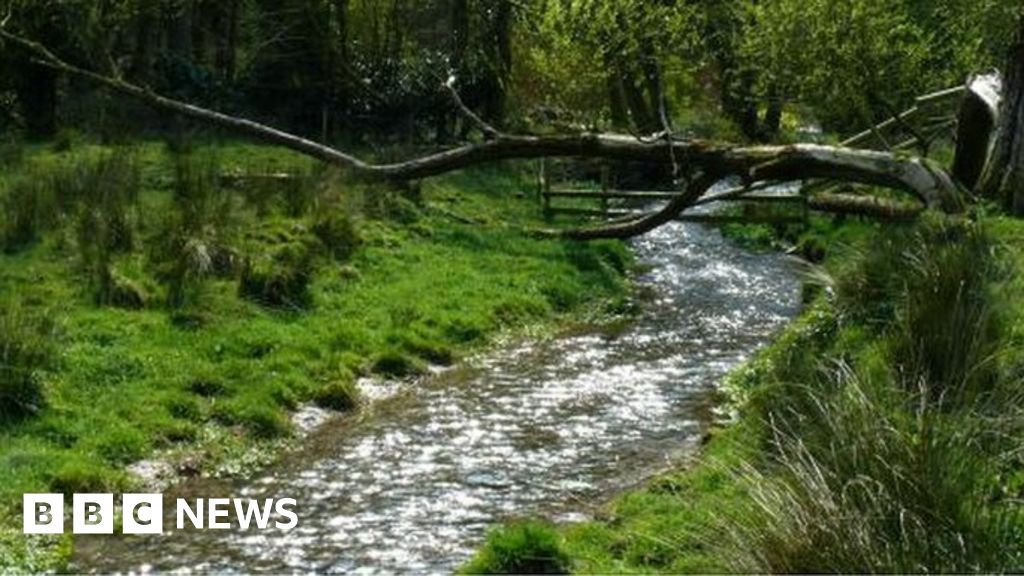 Lincolnshire chalk stream project gets funding for conservation - BBC News