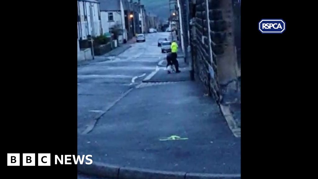 Dog-punching man sought by RSPCA - BBC News