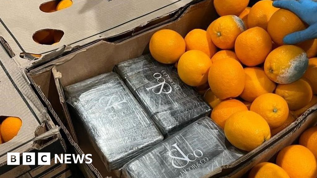 Cocaine found in animal feed at Somerset farm - BBC News