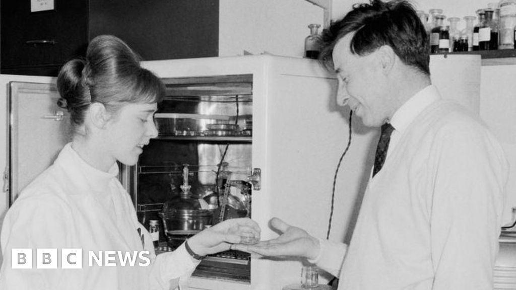 Female scientist's IVF contribution was 'unrecognised'