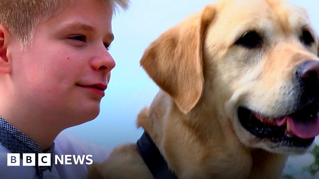 Autistic boy and his dog raise £30,000 - BBC News