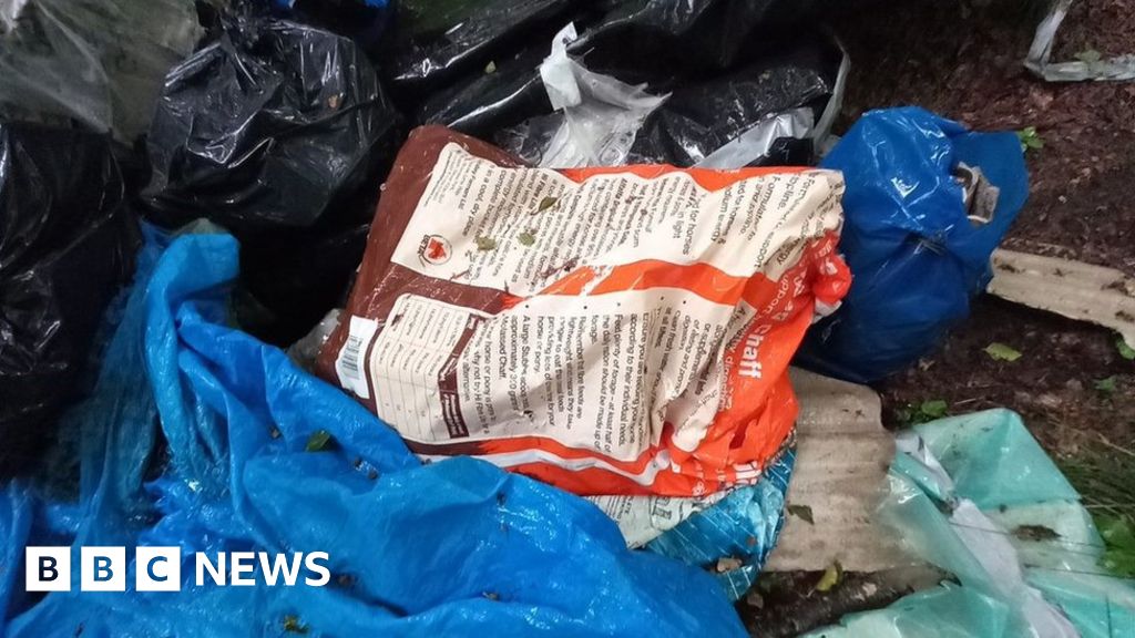 Large amount of waste dumped in Savernake Forest - BBC News