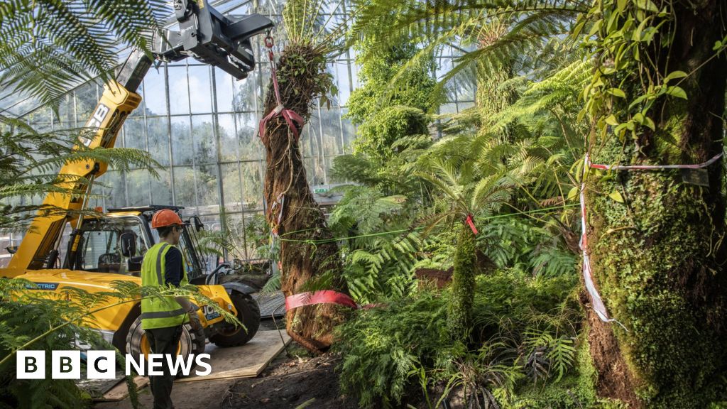 Giant plants make epic journey from Edinburgh to Port Logan