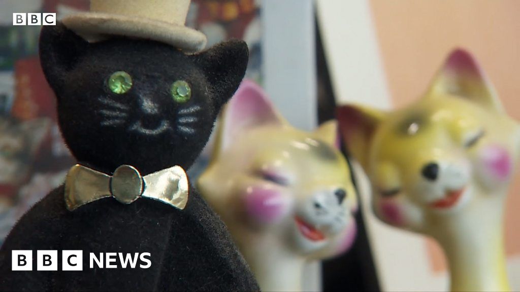Search under way to find new home for Kipper's Cat Meowseum - BBC News
