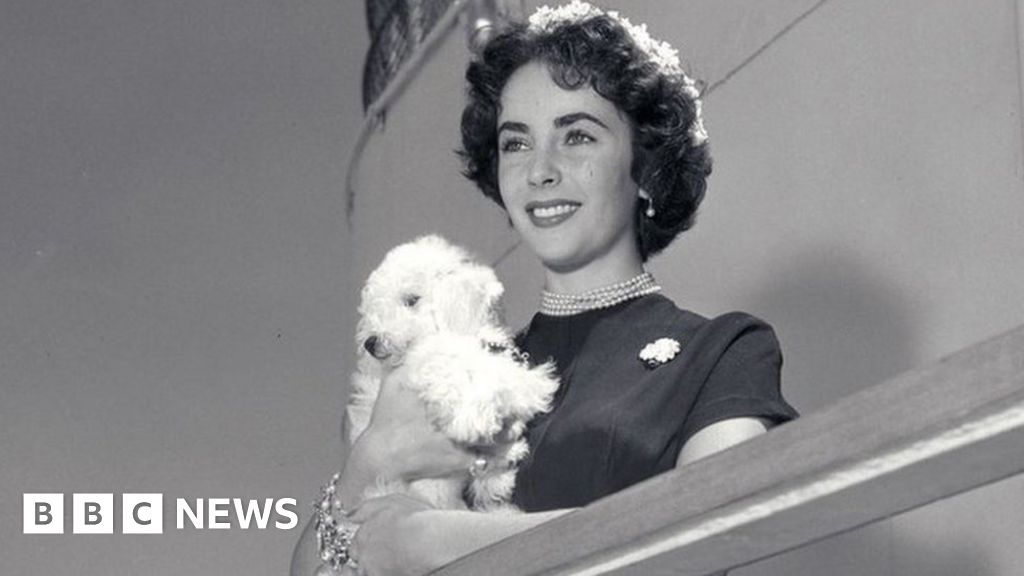 Cunard celebrates 100 years of onboard photographs - BBC News