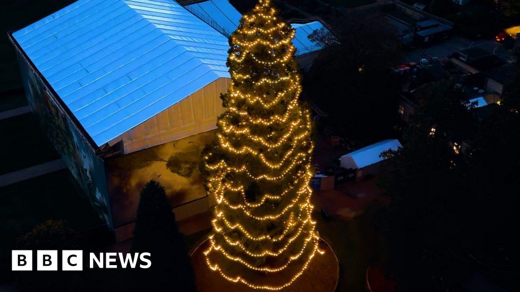 Wakehurst Christmas tree decorated ahead of festive season