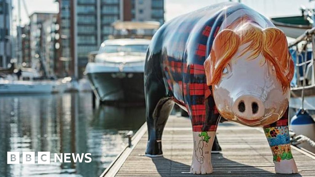 Pig statue tribute to Ed Sheeran unveiled for Ipswich's Pigs Gone Wild ...