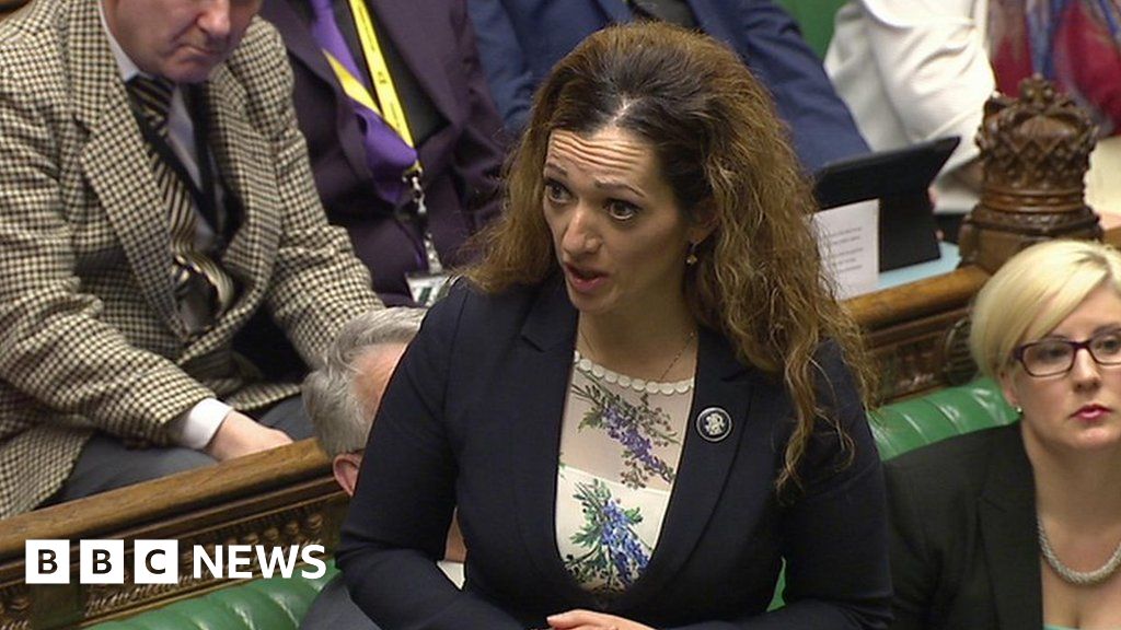 Nicholas Soames MP 'woofs' at Tasmina Ahmed-Sheikh MP - BBC News