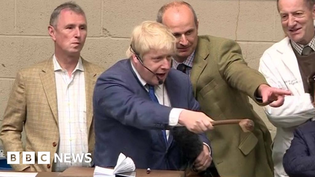 Boris Johnson auctions off a 'beautiful milker' cow - BBC News