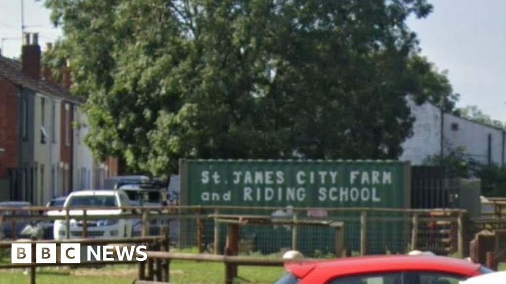 Gloucester city farm remains closed amid pony sickness - BBC News