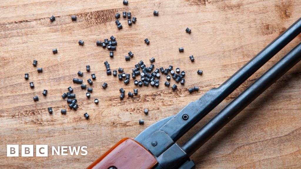 Woman, 73, injured after being shot by air rifle in Dunbar