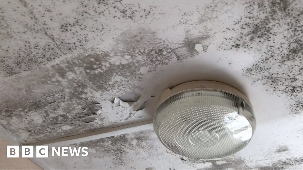 Thanet mum's 'worry' over severe damp in council flat