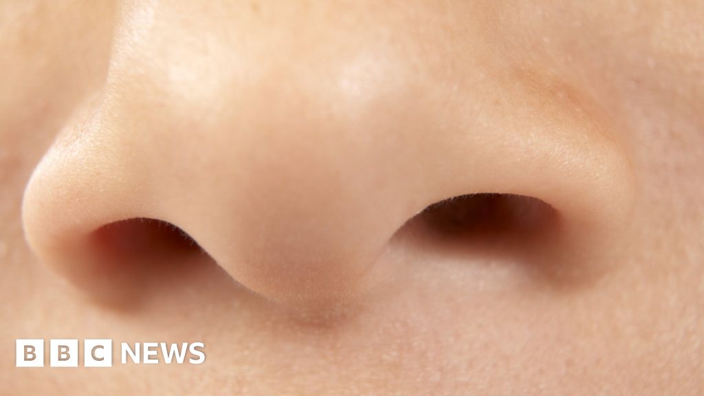 The potential to sniff out disease - BBC News