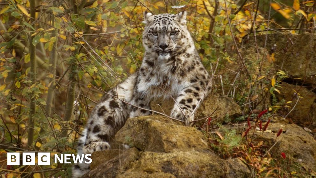 Leicester railway station and Twycross Zoo see funding success - BBC News