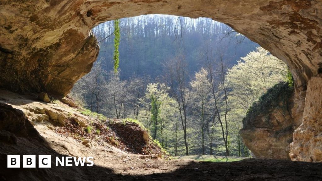 DNA of extinct humans found in caves - BBC News