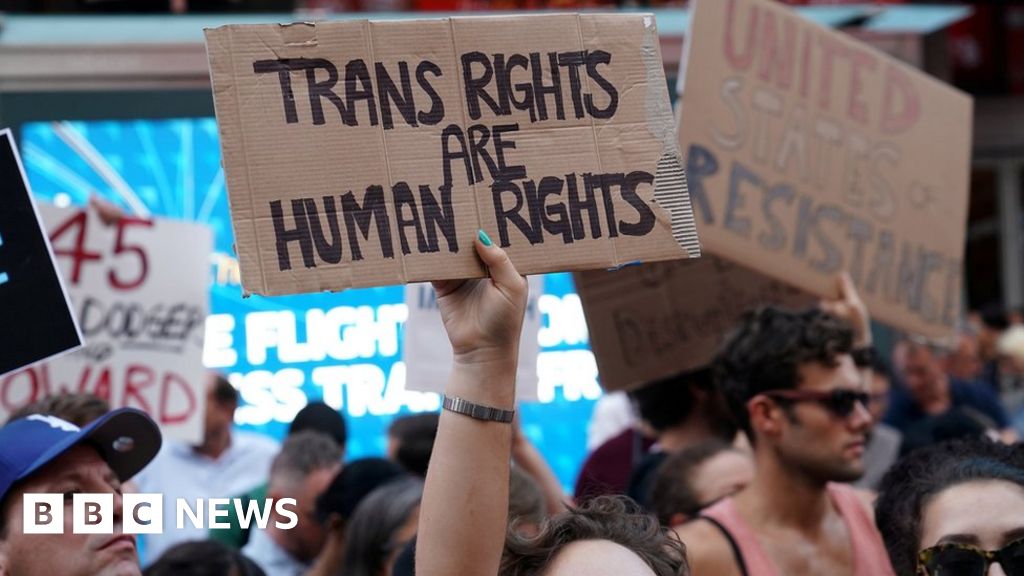 Trump asks US court for review of transgender military ban