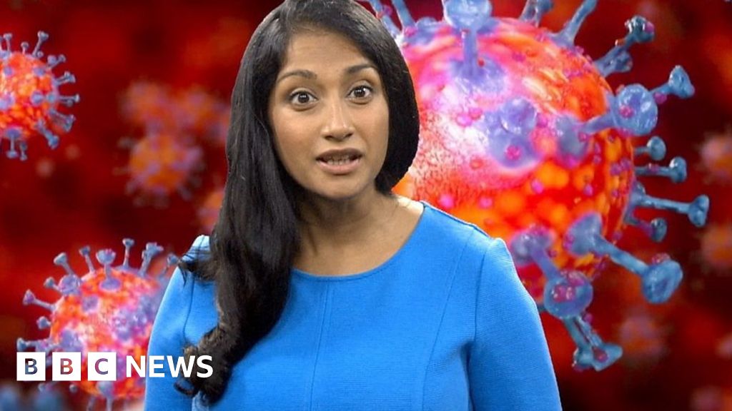 Covid-19: How will the pandemic affect global health in 2021? - BBC News