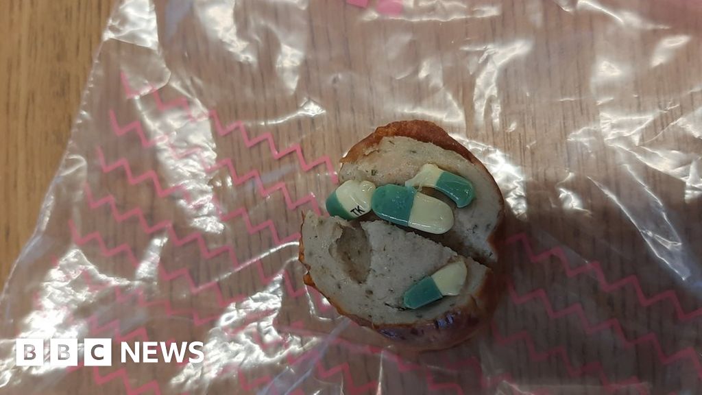 Bristol dog owners warned after meat found filled with pills - BBC News