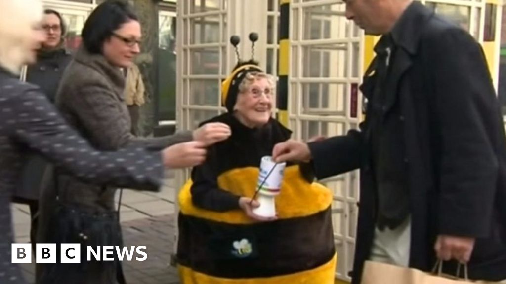'Bee Lady' Jean Bishop and culture city leaders honoured - BBC News