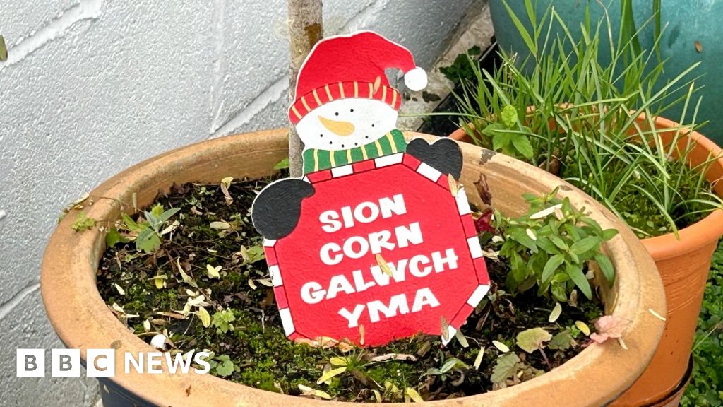 Is Welsh Santa the original Elf on the Shelf? - BBC News