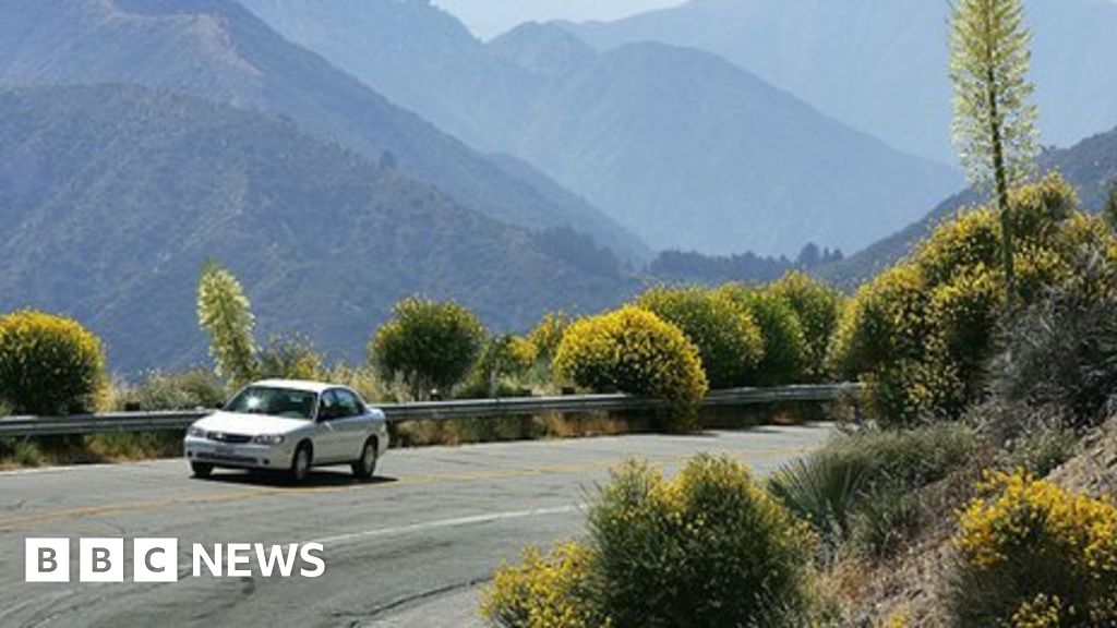 California mulls driver-free car tests - BBC News