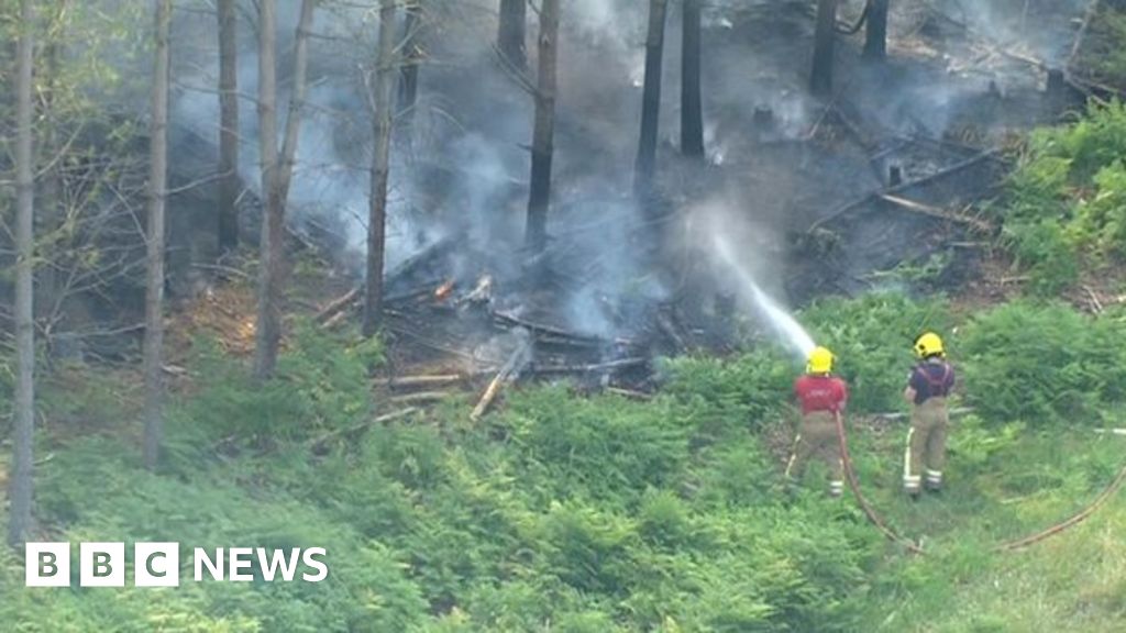 Firefighters tackle forest blaze - BBC News