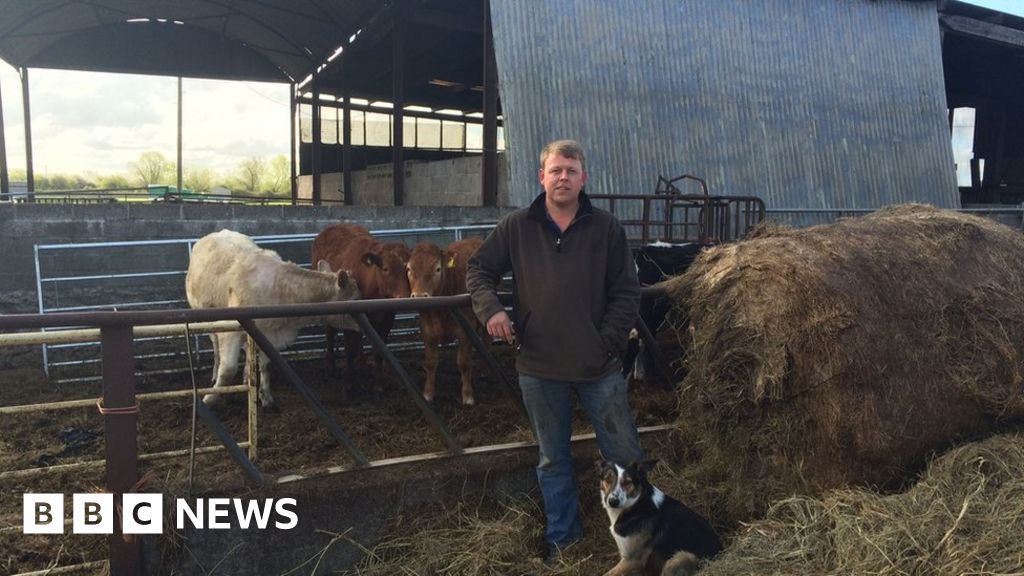 Somerset farmer's frustration over 'crippling' TB rules - BBC News