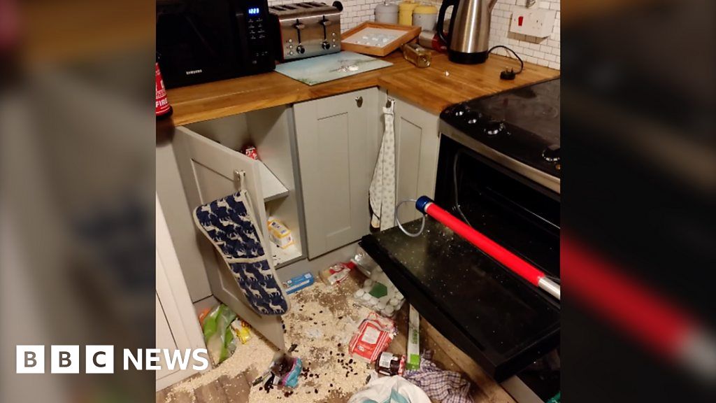 Isle of Wight home destroyed by badger on Valentine's Day