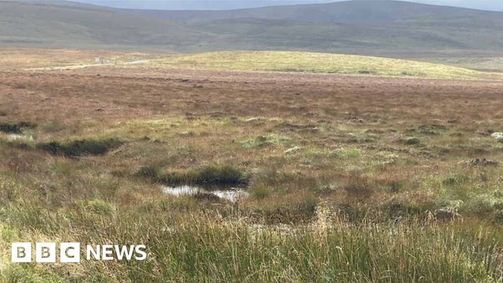 Bog restoration project boosts Northern Ireland wildlife