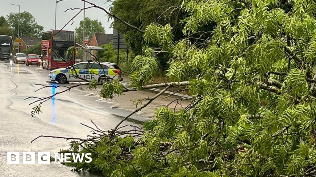 Trees fall and roads flood as storm sweeps West Midlands - BBC News