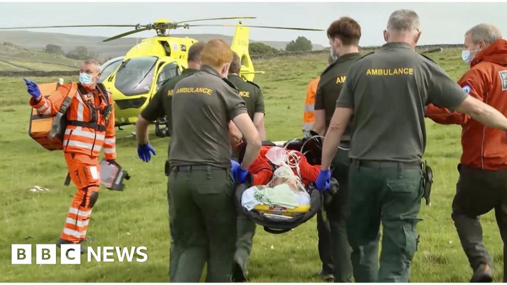 Cow attacks: Kent woman urges others to be wary after being trampled ...