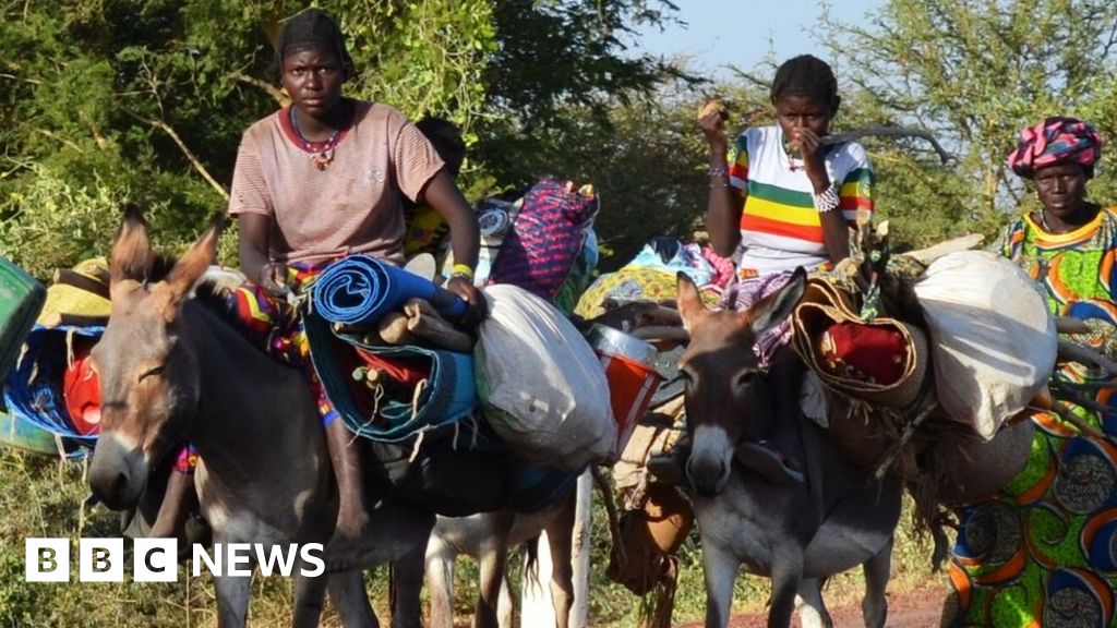 Preserving Mali's rural life in pictures - BBC News