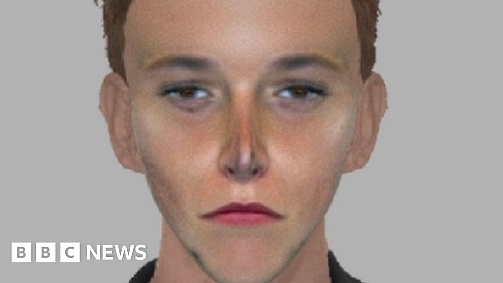 E-fit issued after Sible Hedingham mansion shooting - BBC News