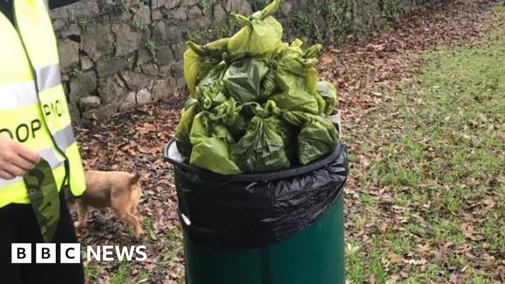 Dog poo in Weston-super-Mare tackled by fed-up park users - BBC News