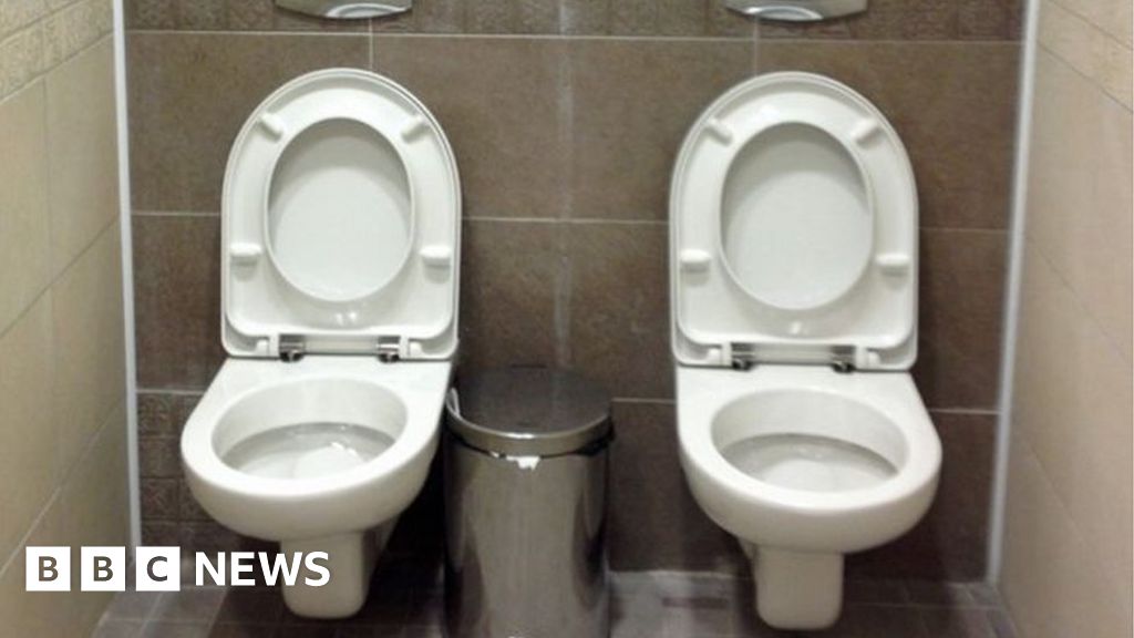 Bathgate named as Scotland's first toilet-twinned town - BBC News