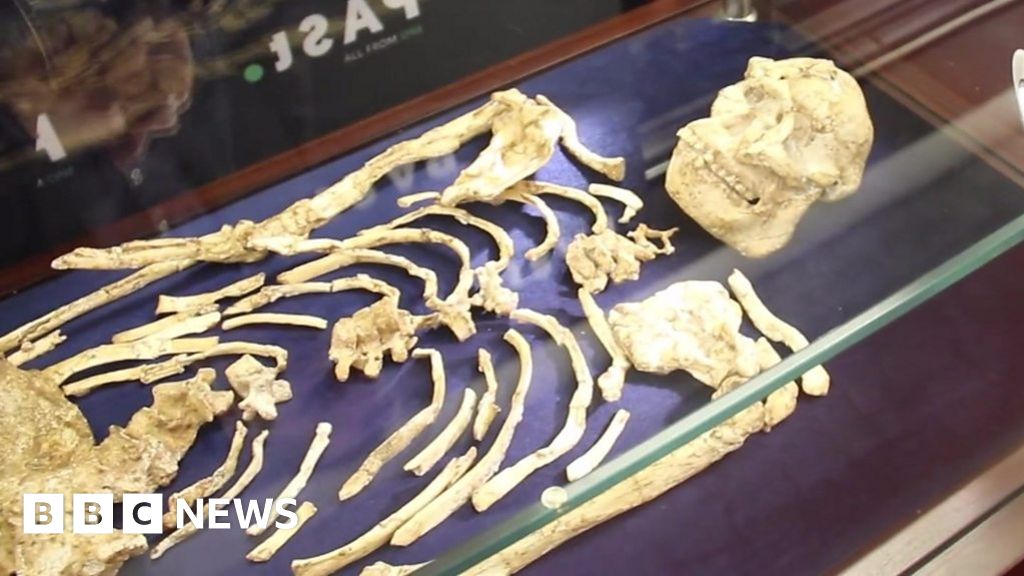 A closer look at '3.67m-year-old' skeleton