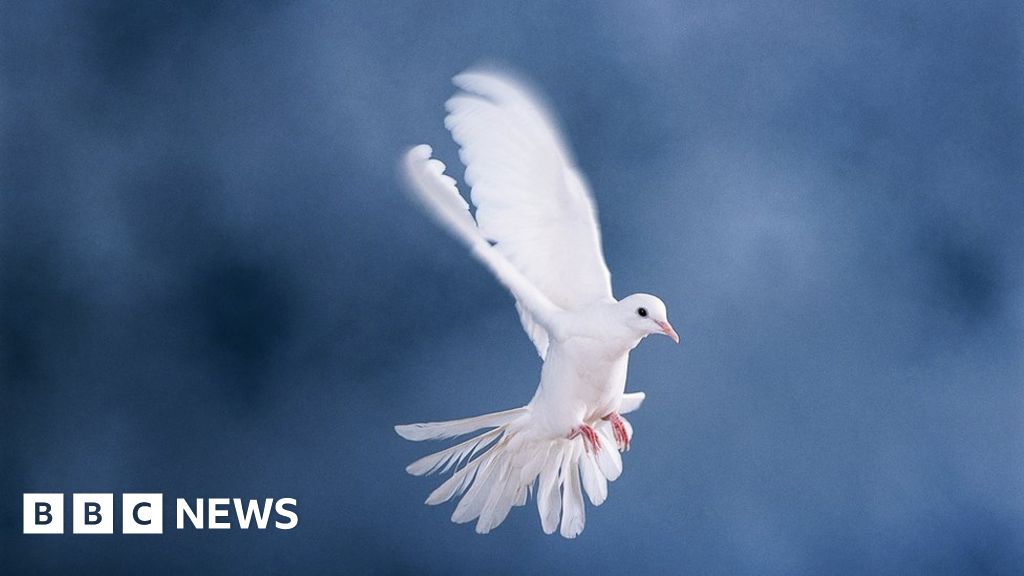 Global Peace Index 2017: World 0.28% more peaceful than last year - BBC ...