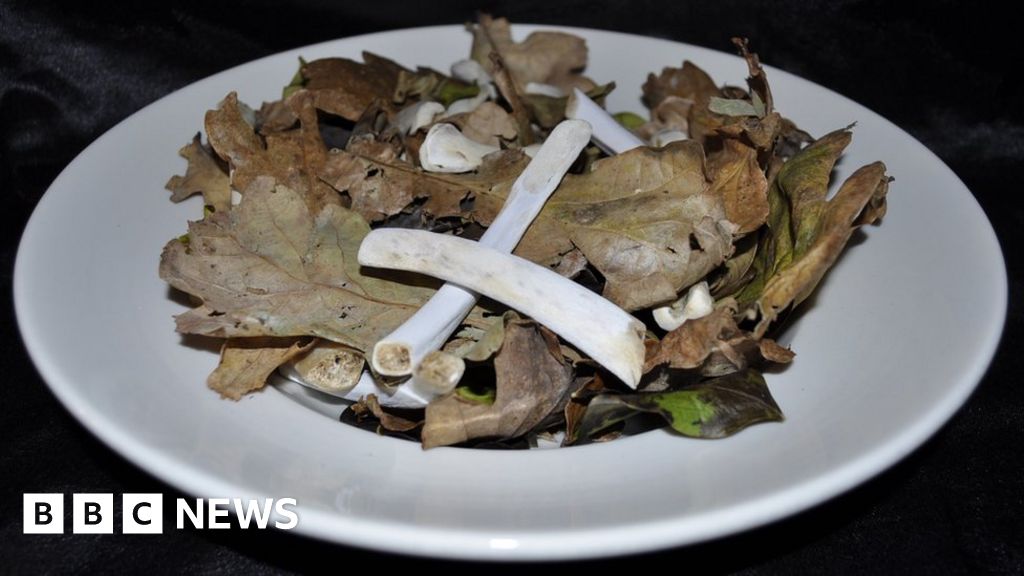 Turnip Prize: Finalists in spoof art competition revealed - BBC News