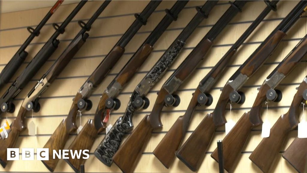 Gun licensing system costing taxpayers £300k per year