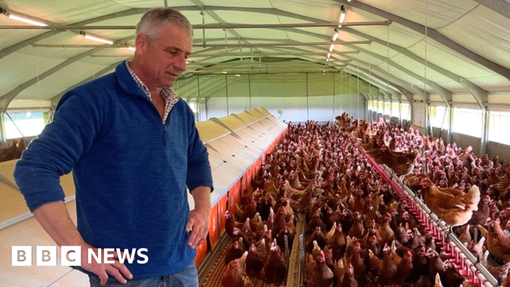 Bird flu: Farmer keeping poultry indoors despite lifted order - BBC News